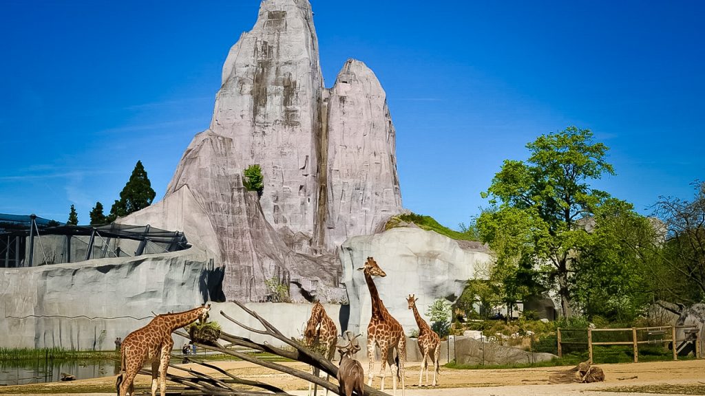 Top 10 Things To Do in Paris with your Family - Aertrip blog - Travel ...